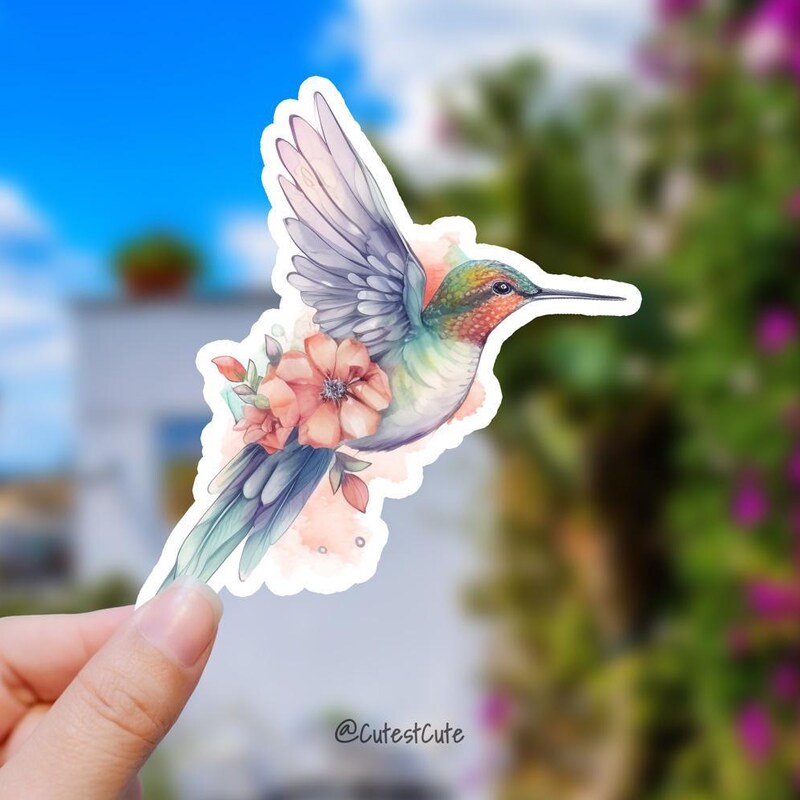 Hummingbird Sticker - Etsy