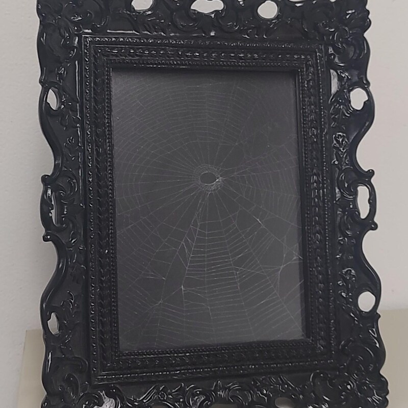 Framed Spider Web - Etsy