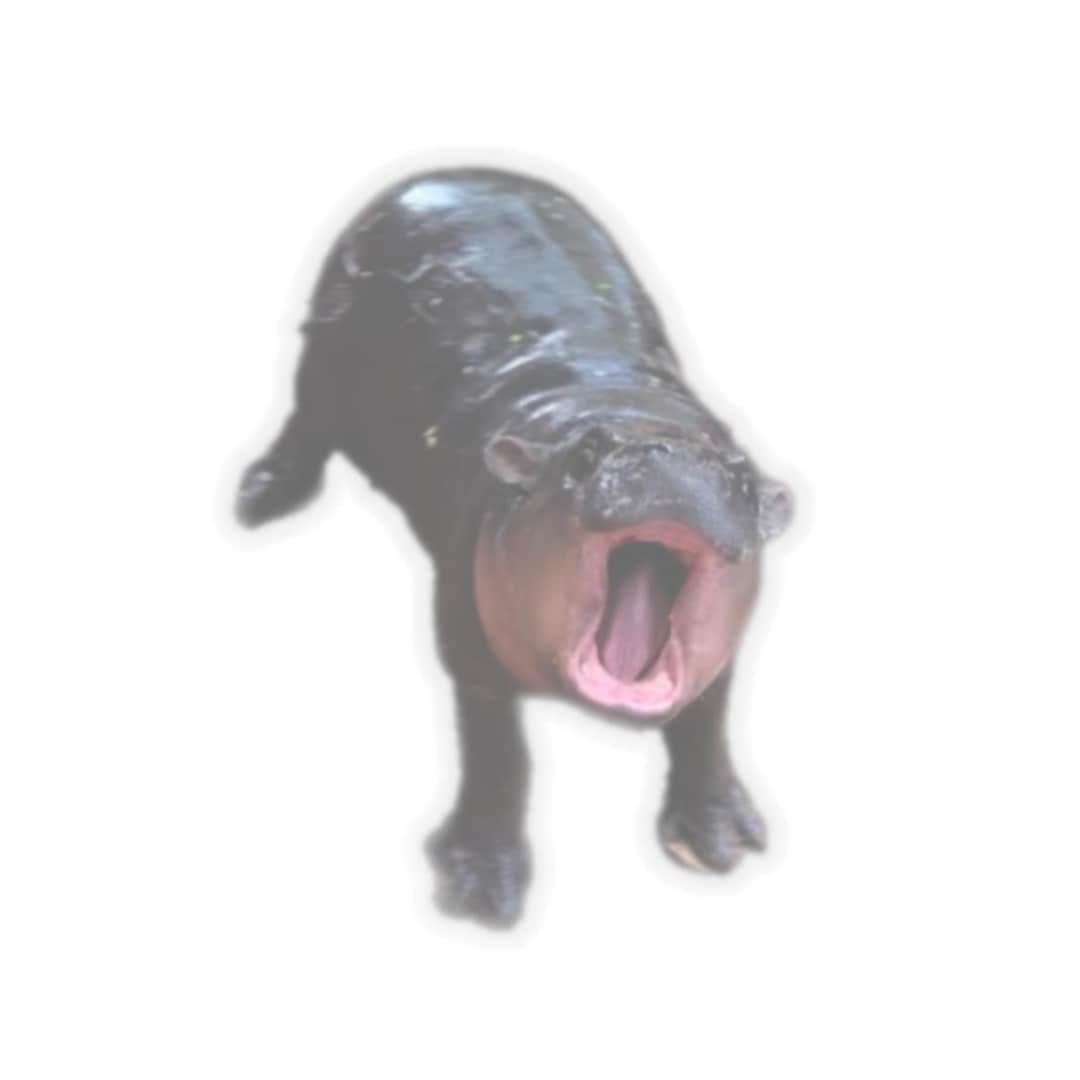Moo Deng Baby Pygmy Hippo Biting Leg Sticker - Etsy