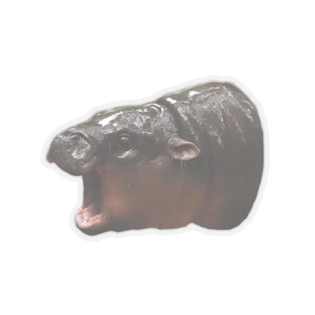 Moo Deng Baby Pygmy Hippo Biting Leg Sticker - Etsy
