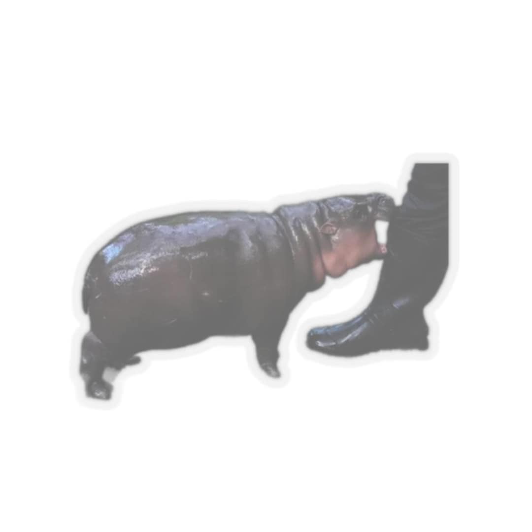 Moo Deng Baby Pygmy Hippo Meme Biting Bite Leg Sticker - Etsy