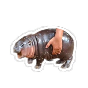 Moo Deng Baby Pygmy Hippo Meme Bite Biting Leg Sticker - Etsy