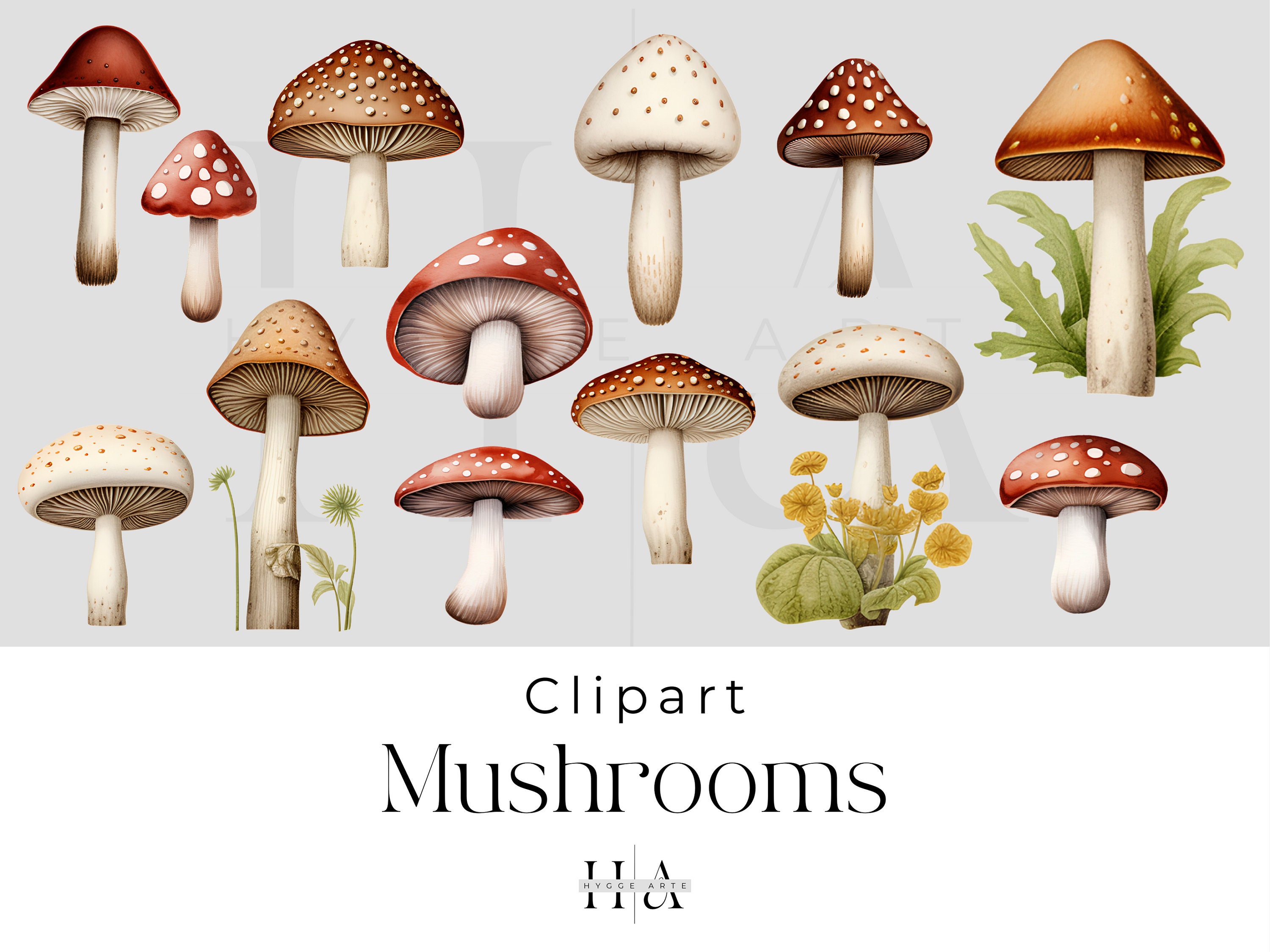 Mushroom Clipart PNG Images, Mystical Mushroom Decor, Botanical ...