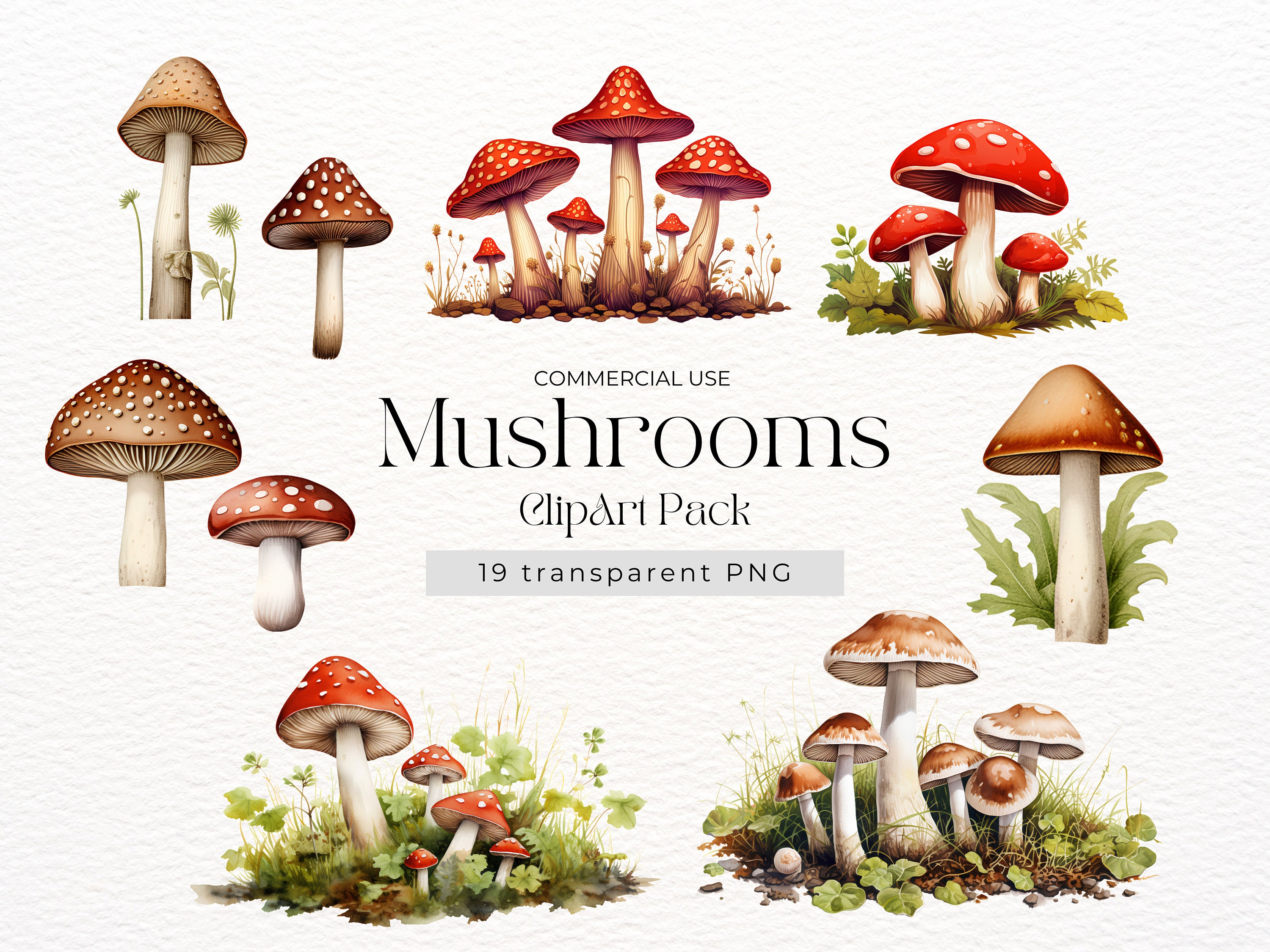 Mushroom Clipart PNG Images, Mystical Mushroom Decor, Botanical ...