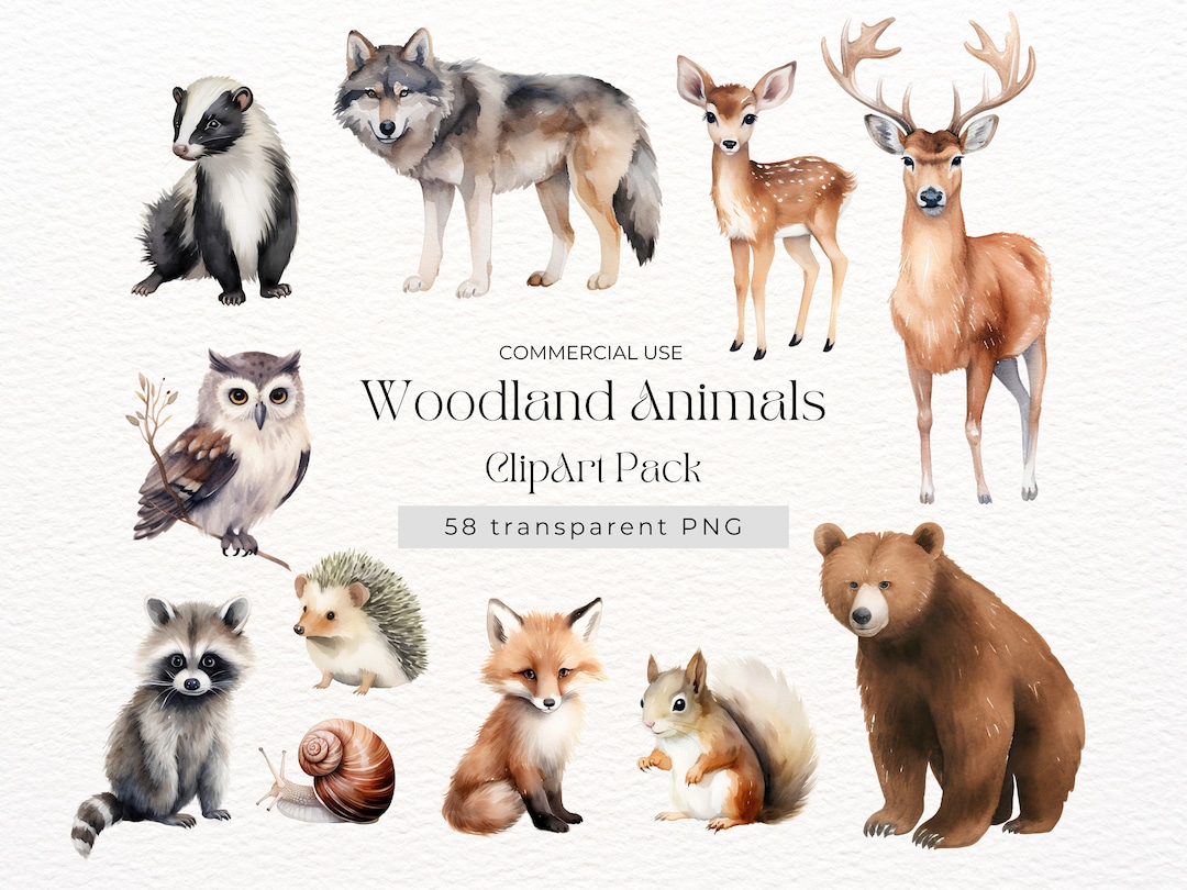 Woodland Animals Clipart Watercolor, Forest Wild-life Graphics for ...
