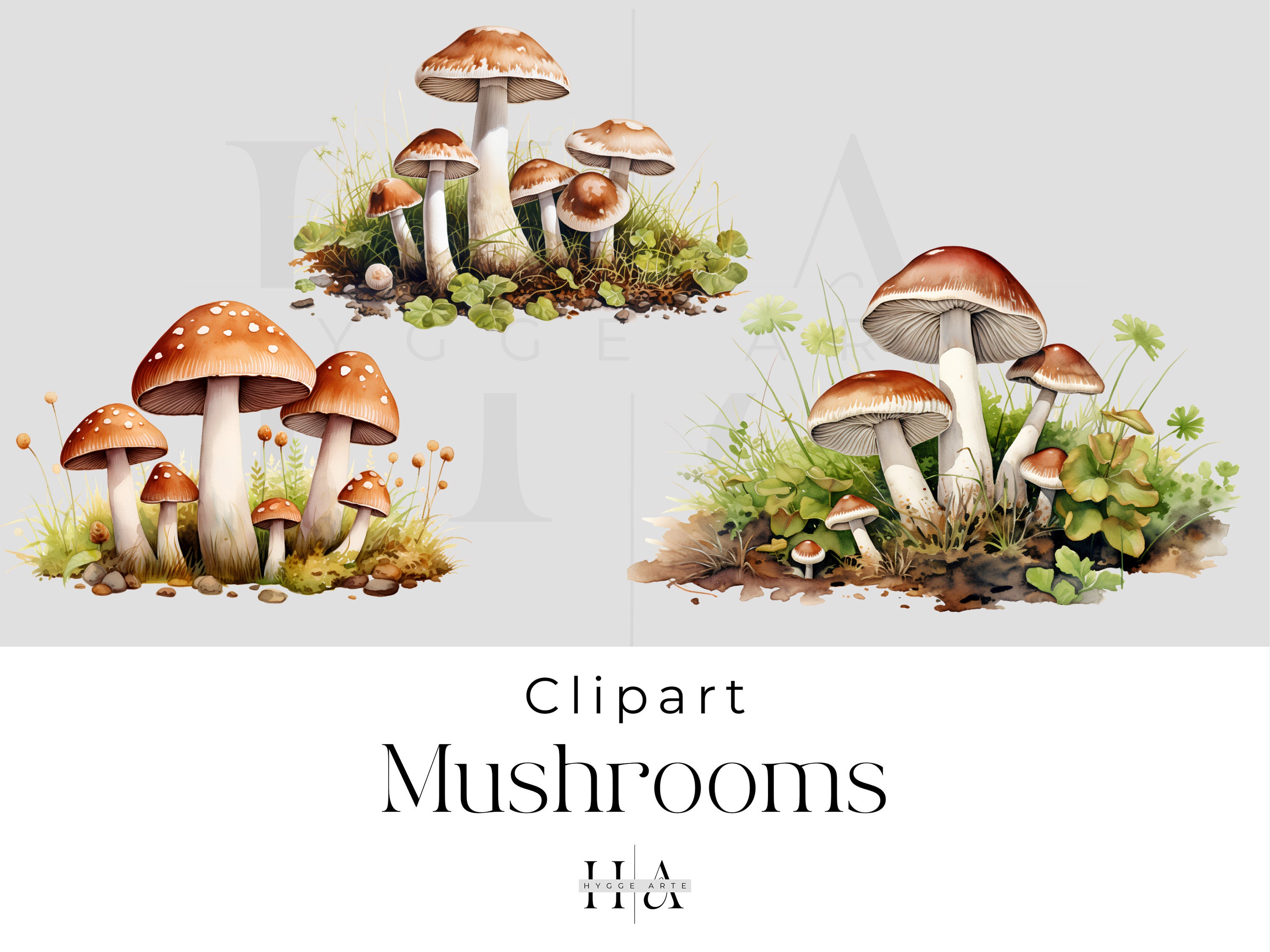 Mushroom Clipart PNG Images, Mystical Mushroom Decor, Botanical ...