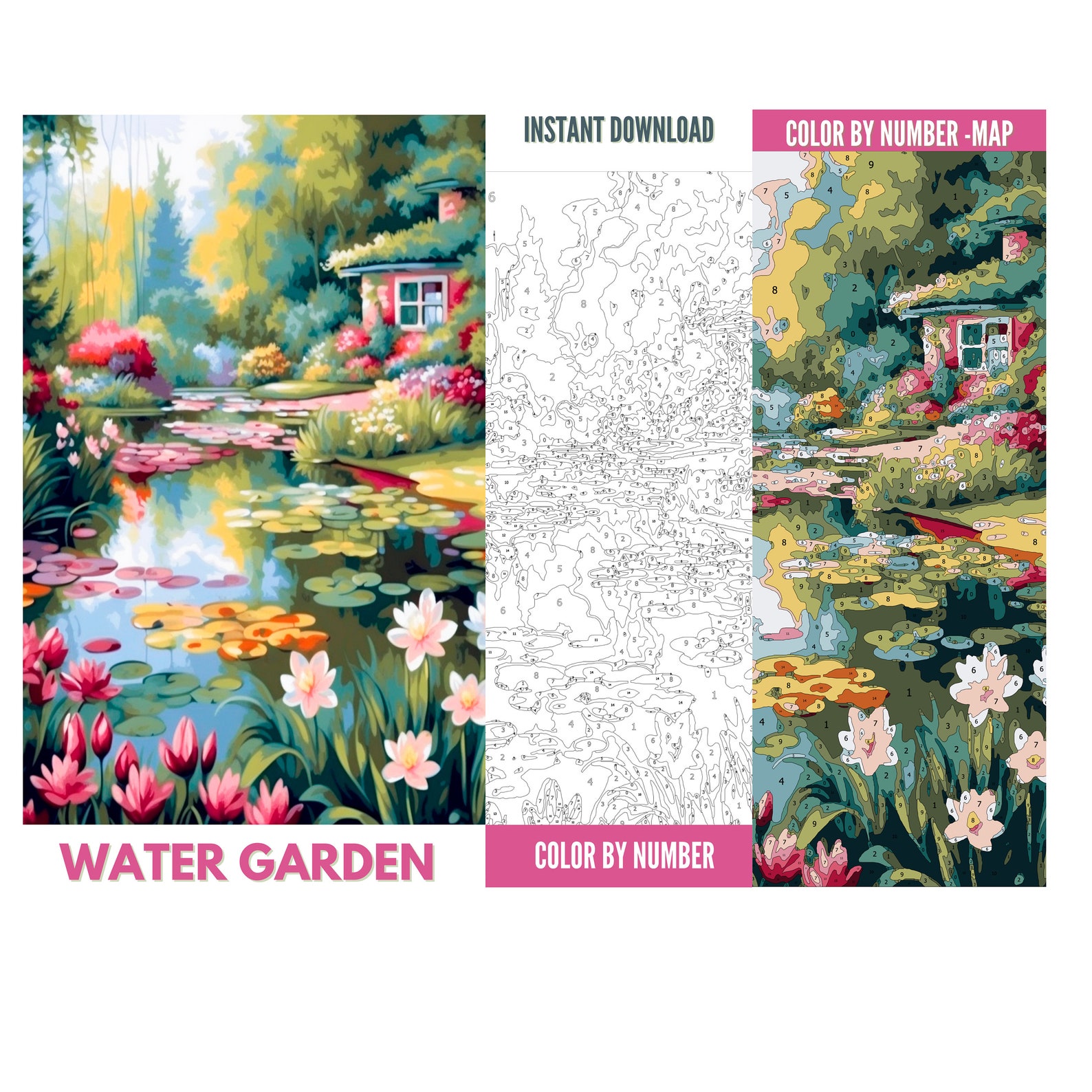 Color by Number for Adultpaint by Number Printable10 Beauty - Etsy