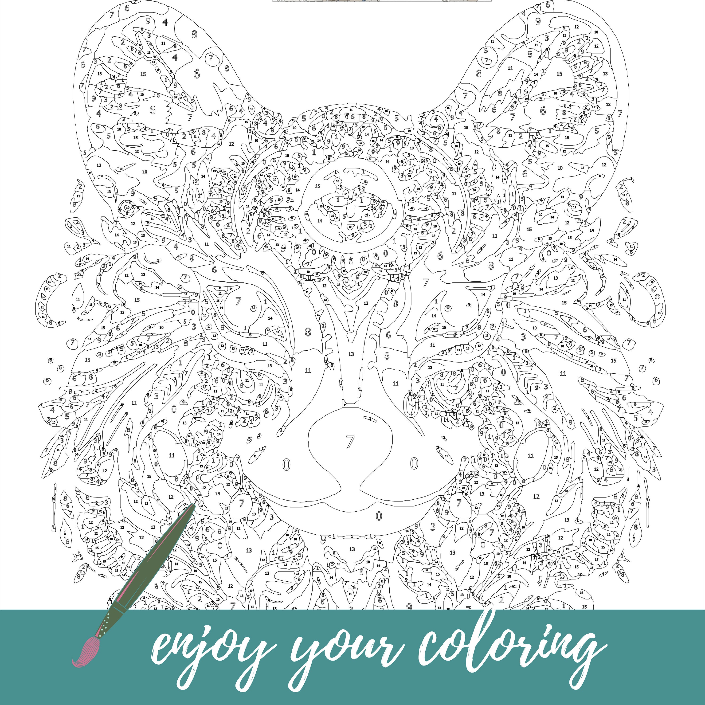 Color by Number for Adultmandala Animal Paint by Number - Etsy