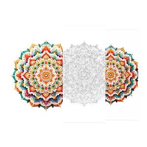 Color by Number for Adult, Mandala, Paint by Number Printable,by Jo ...