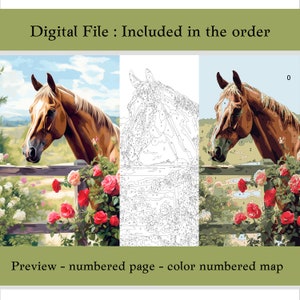 Bundle 5 Beautiful Horse Color by Number for Adult, Paint by Number ...