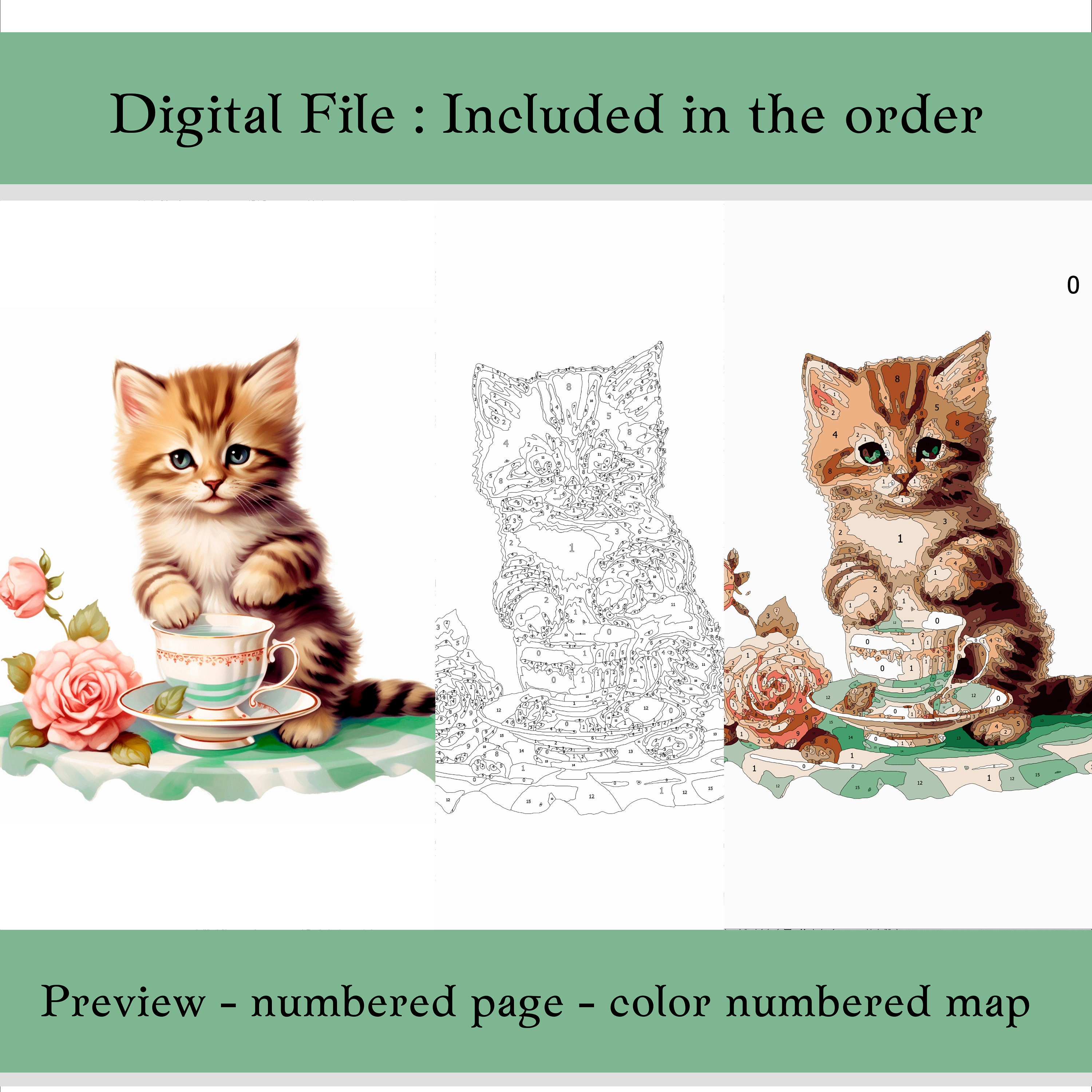Color by Number for Adultpaint by Number Printable5 - Etsy