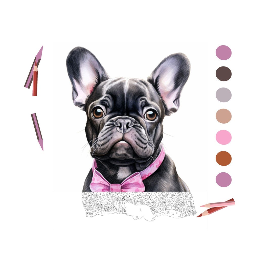 Color by Number for Adult, Paint by Number Printable,funny Dog ...