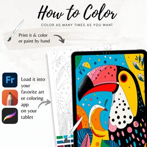 Color by Number for Adult, Paint by Number Printable,colorful Toucan ...