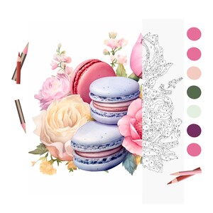 Color by Number for Adult,paint by Number Printable, Macarons, Coloring ...