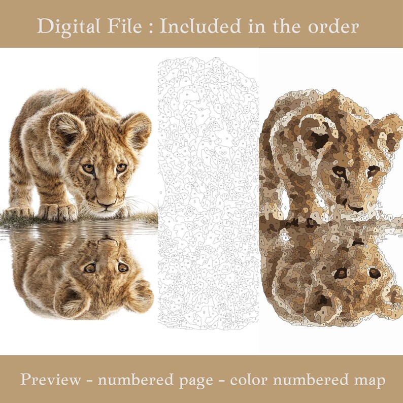 Baby Lion Color by Number for Adult, Paint by Number Printable,wild ...