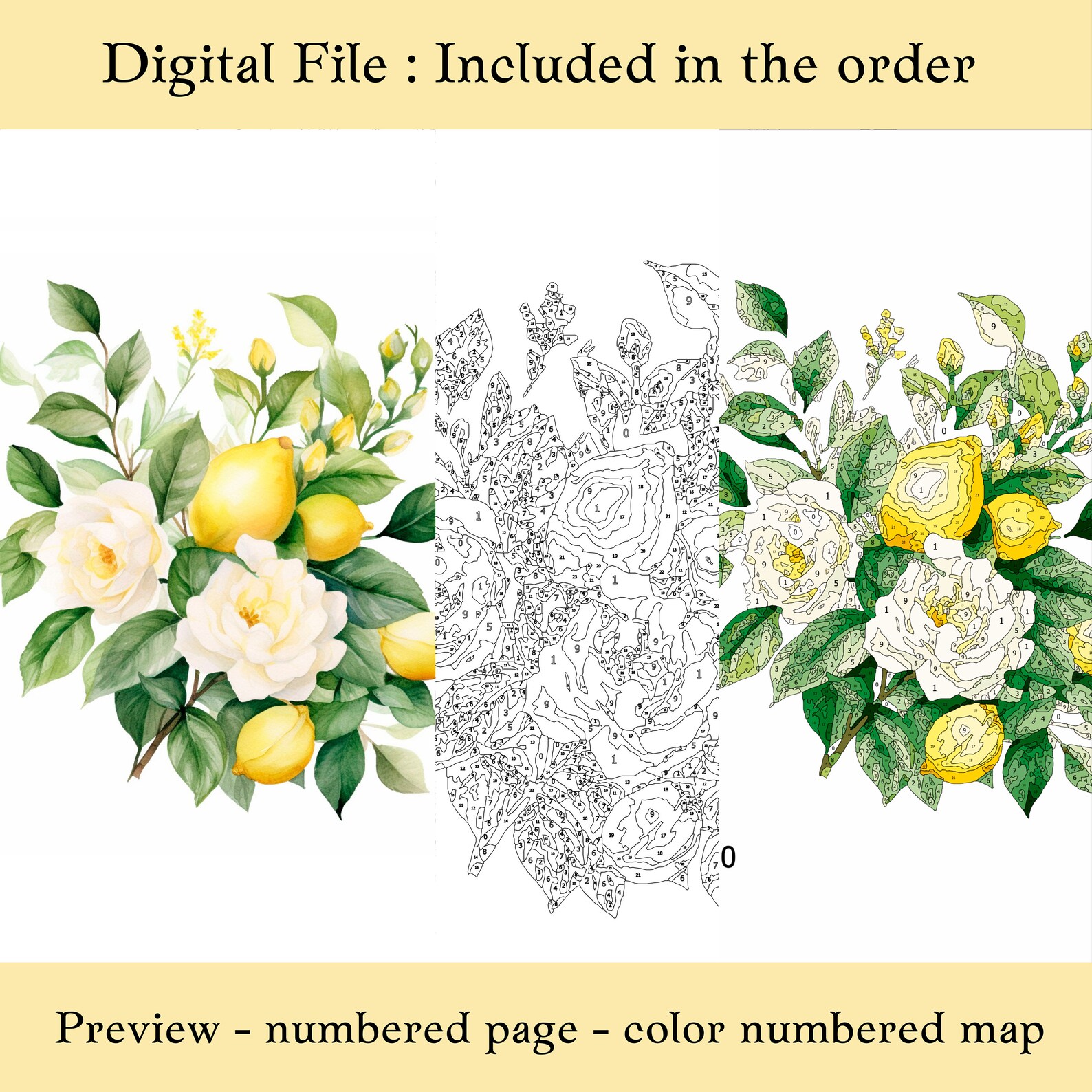 Color by Number for Adult, Paint by Number Printable,lemon Branch ...