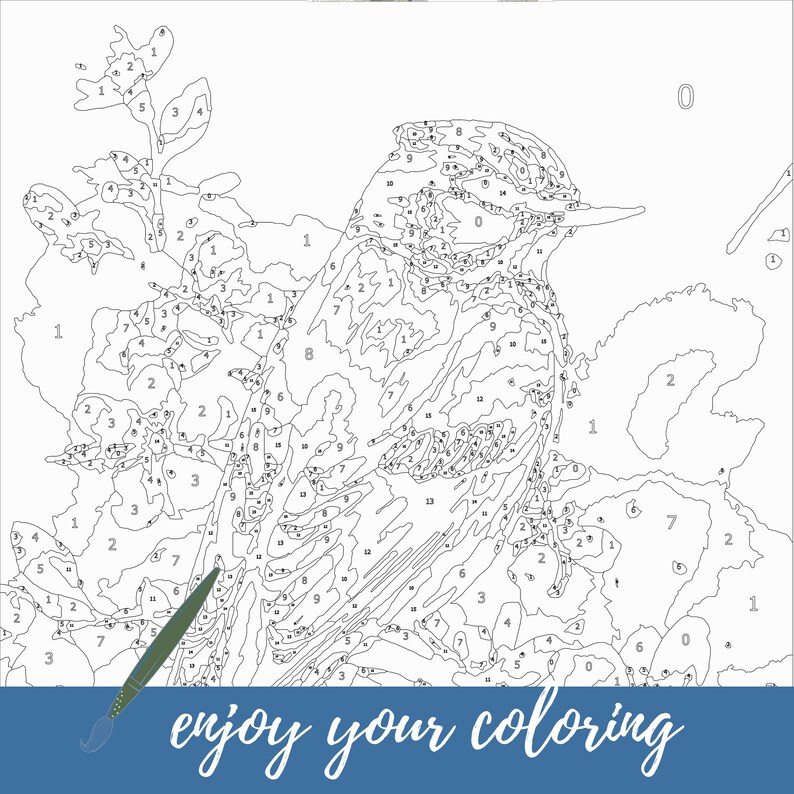 Color by Number for Adult, Beauty Bird, Paint by Number Printable ...