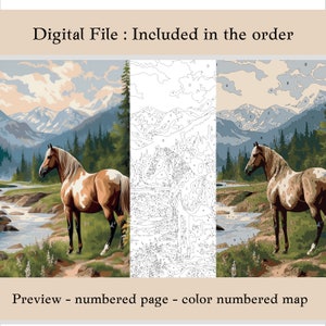 Bundle 5 Beautiful Horse Color by Number for Adult, Paint by Number ...