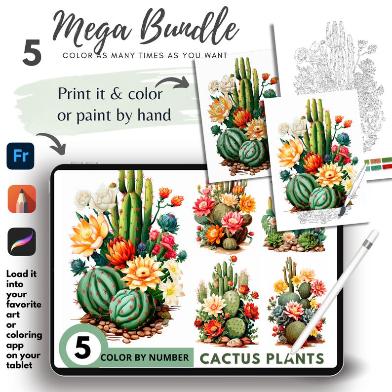 Cactus Plants Color by Number, Printable Pages (digital Download) 1583 ...