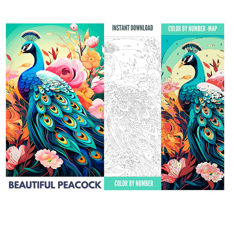 5 Beautiful Peacock Color by Number for Adultpaint by Number - Etsy