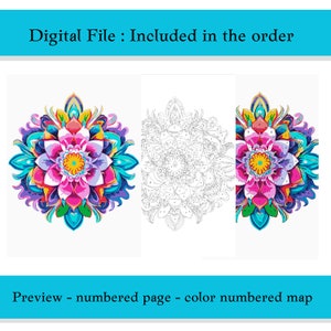 Color by Number for Adult, Mandala Flower, Paint by Number Printable ...