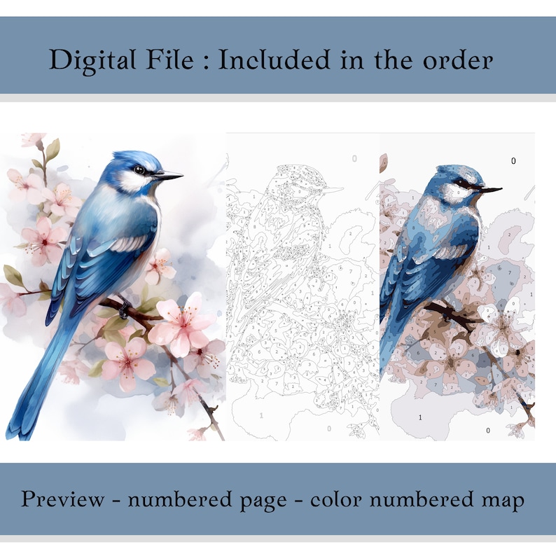Color by Number for Adult, Beauty Bird, Paint by Number Printable ...