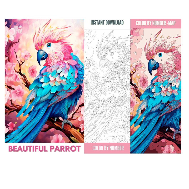 5 Beautiful Parrot Color by Number for Adultpaint by Number - Etsy