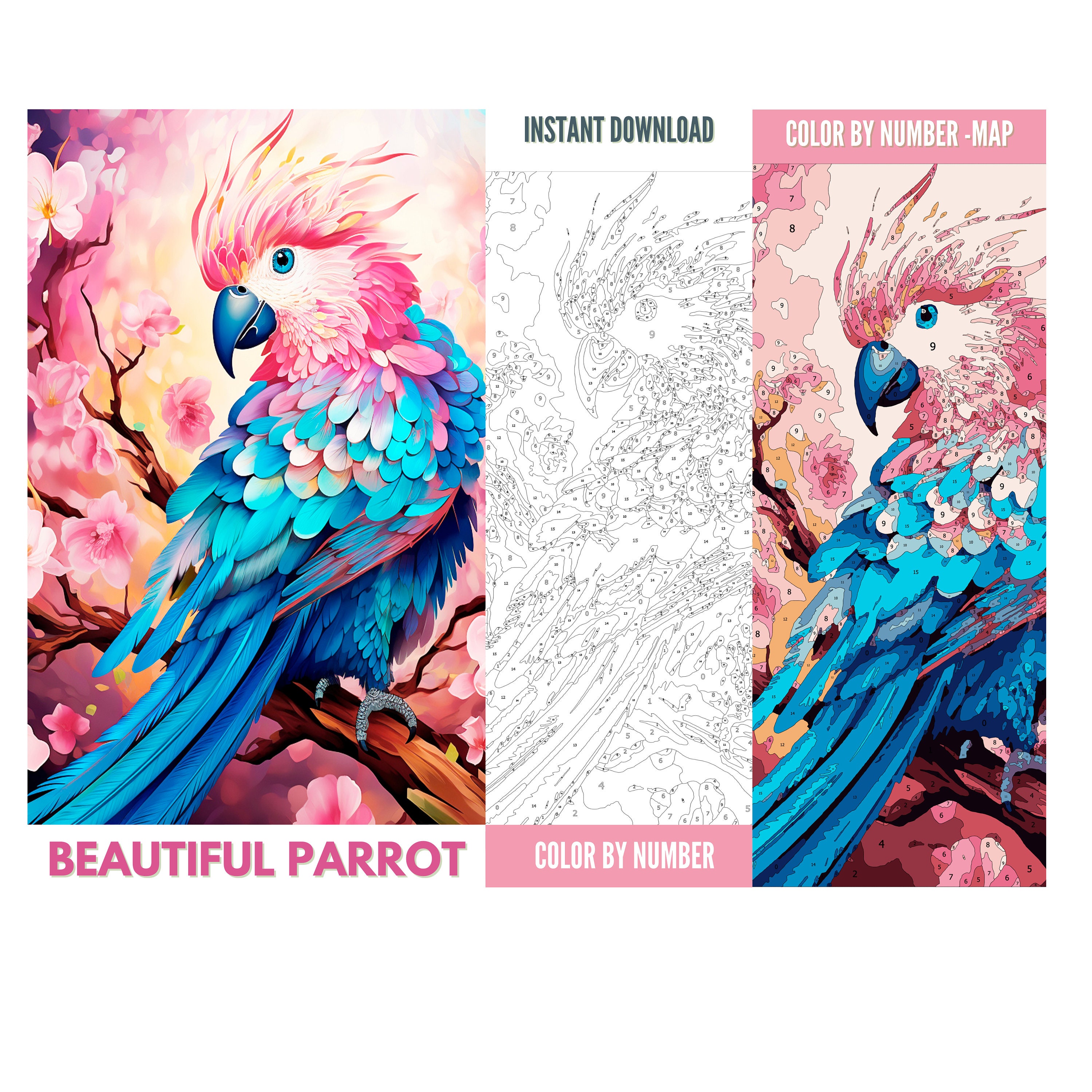 Color by Number for Adult,paint by Number Printable,beautiful Parrot ...