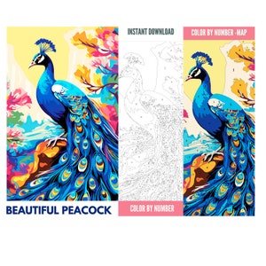 5 Beautiful Peacock Color by Number for Adult,paint by Number Printable ...