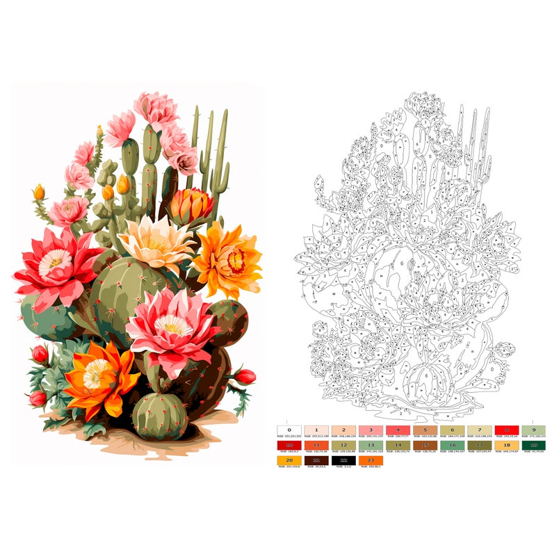 Cactus Plants Color by Number, Printable Pages (digital Download) 1583 ...