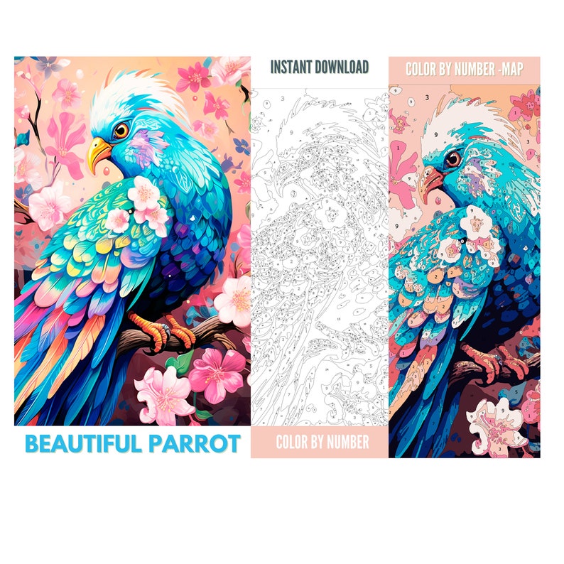 5 Beautiful Parrot Color by Number for Adult,paint by Number Printable ...