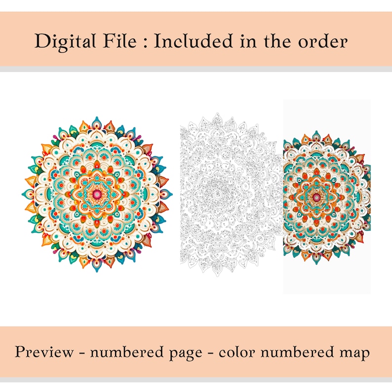 Color by Number for Adult Mandala Paint by Number - Etsy