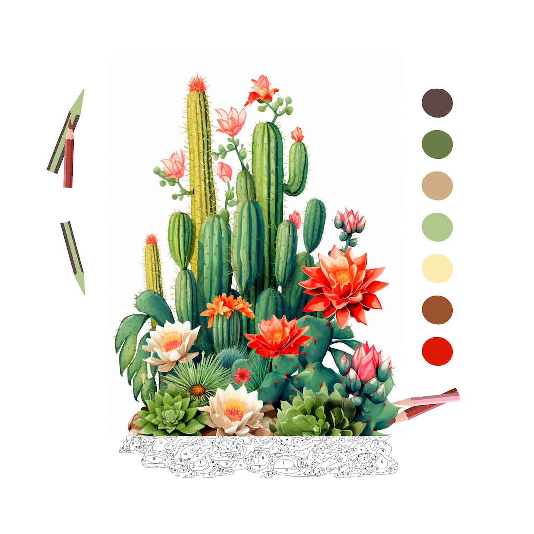 Cactus Plants Color by Number for Adult, Paint by Number Printable for ...