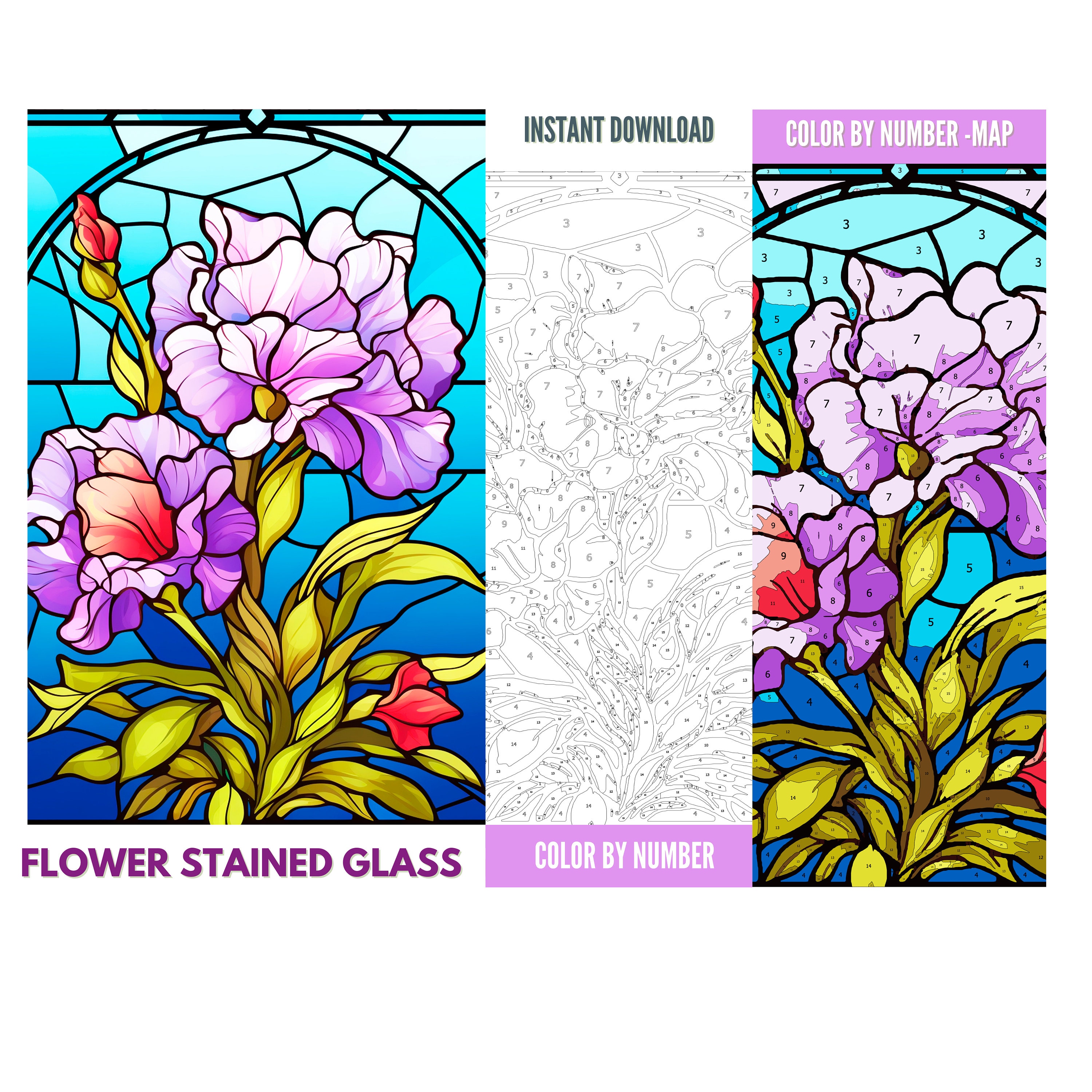 Color by Number for Adultpaint by Number Printable Stained - Etsy