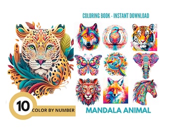 Coloring Book Color by Number Printable PDF Instant Digital Download ...