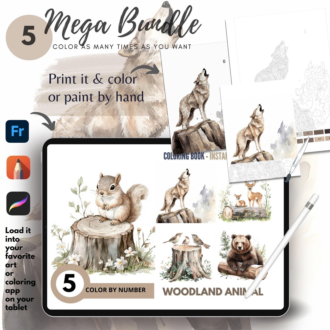 Bundle 5 Woodland Animal, Wolf Color by Number for Adult, Paint by ...