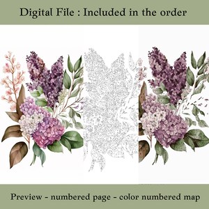 Color by Number for Adult, Paint by Number Printable, Beautiful Flower ...