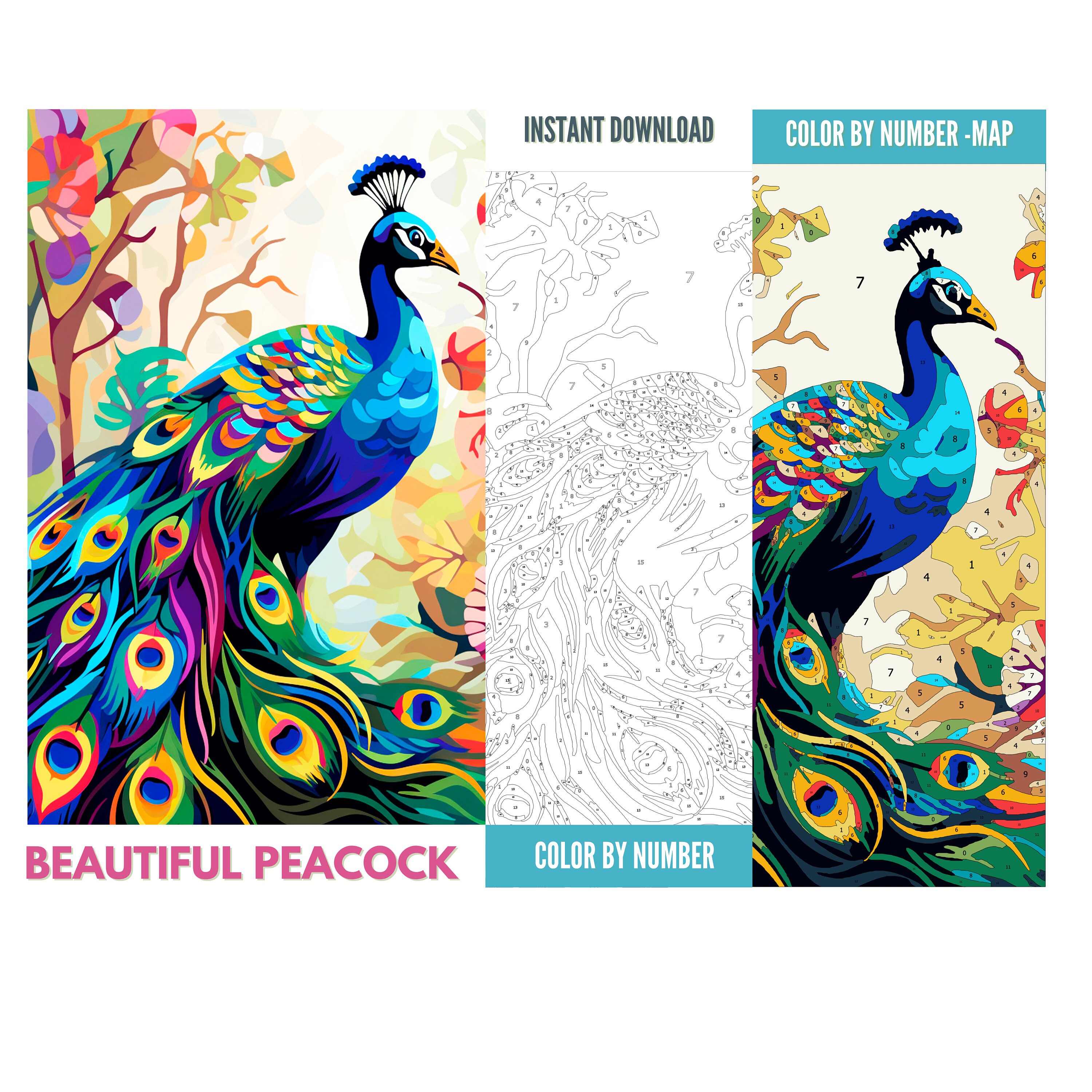 5 Beautiful Peacock Color by Number for Adultpaint by Number - Etsy