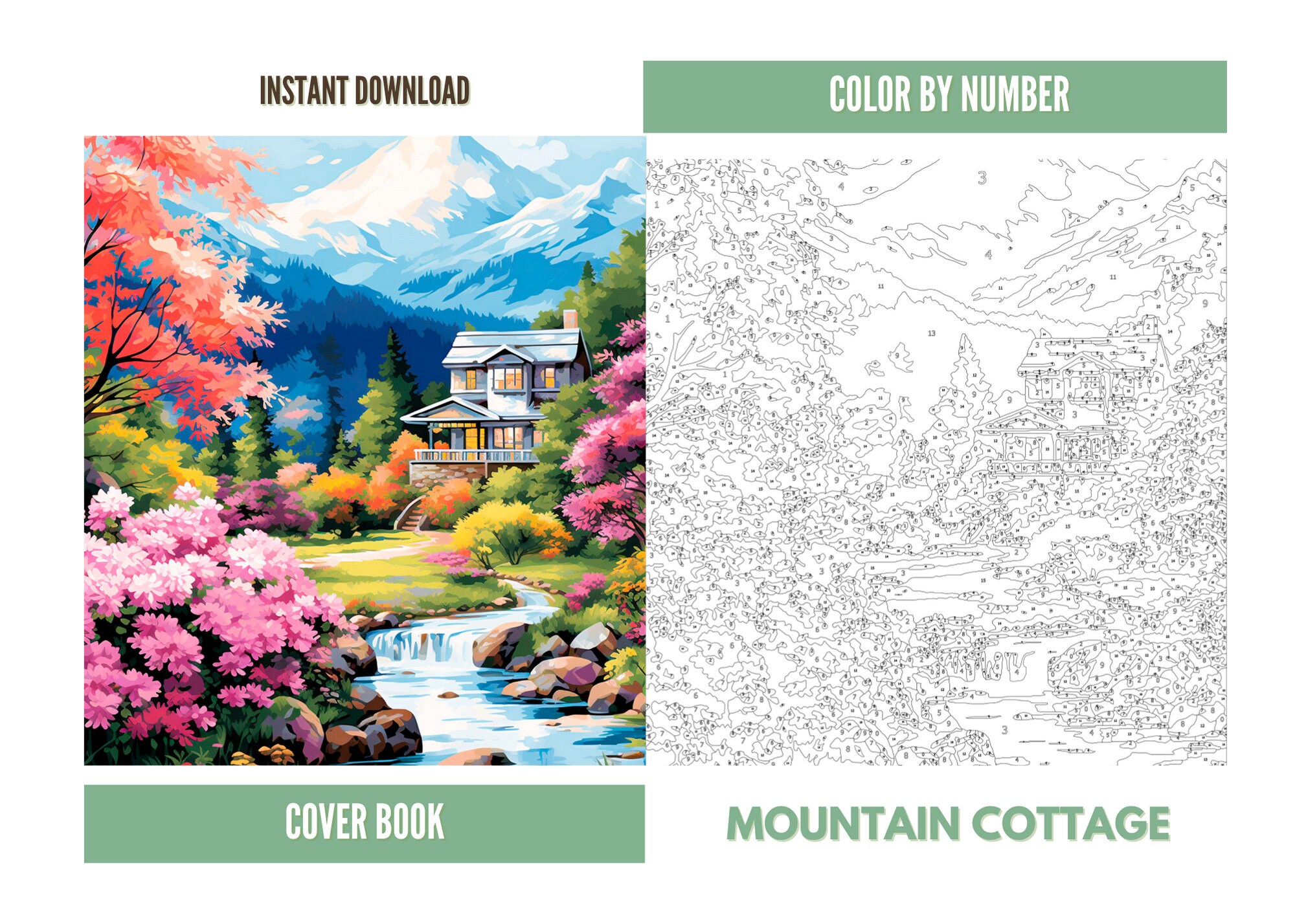 Color by Number for Adultpaint by Number Printable10 - Etsy