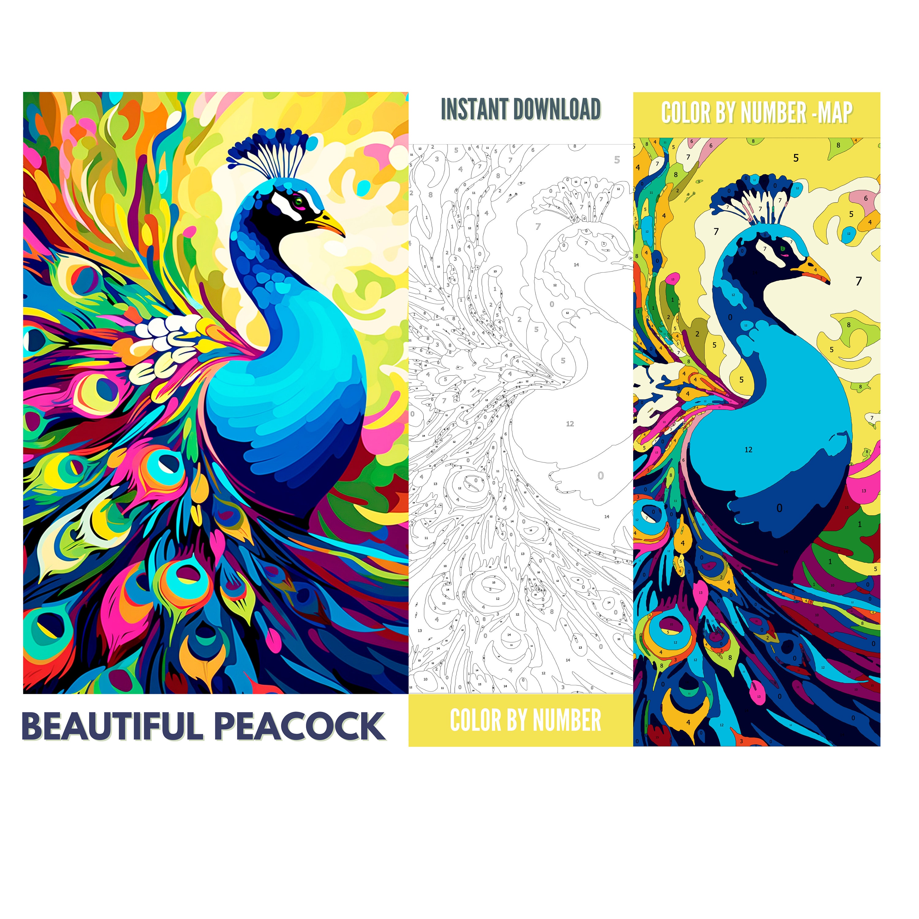 5 Beautiful Peacock Color by Number for Adultpaint by Number - Etsy