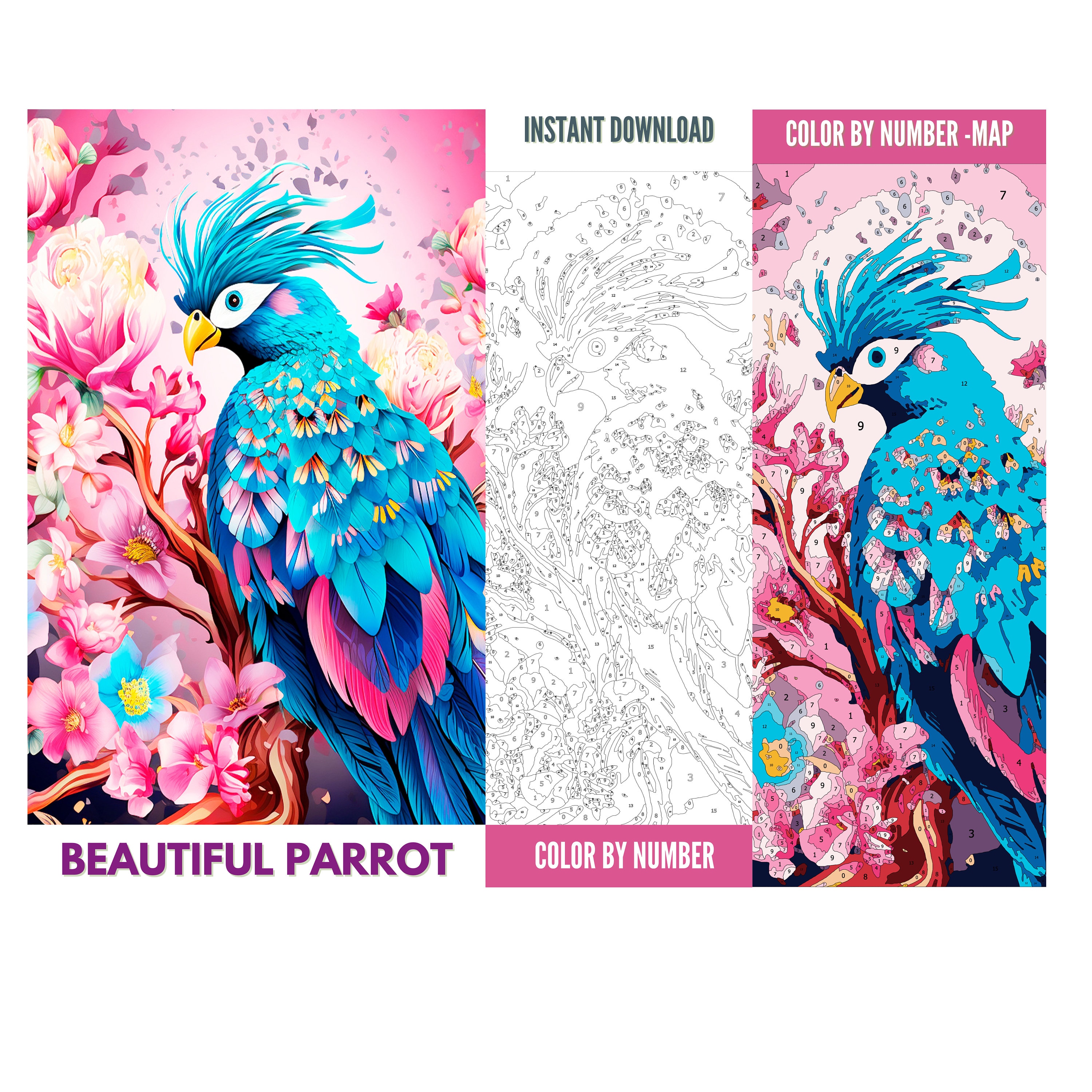 5 Beautiful Parrot Color by Number for Adult,paint by Number Printable ...