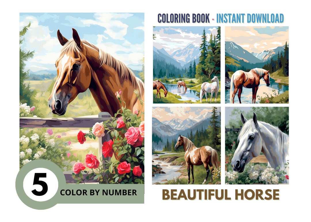 Bundle 5 Beautiful Horse Color by Number for Adult, Paint by Number ...