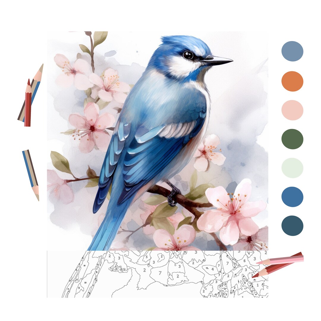 Color by Number for Adult, Beauty Bird, Paint by Number Printable ...