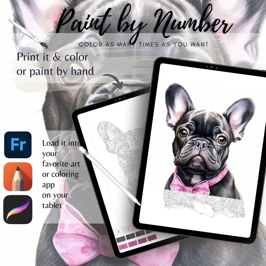 Color by Number for Adult, Paint by Number Printable,funny Dog ...