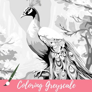 Color by Number for Adult,paint by Number Printable,beautiful Peacock ...