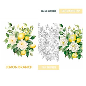 Color by Number for Adult, Paint by Number Printable,lemon Branch ...