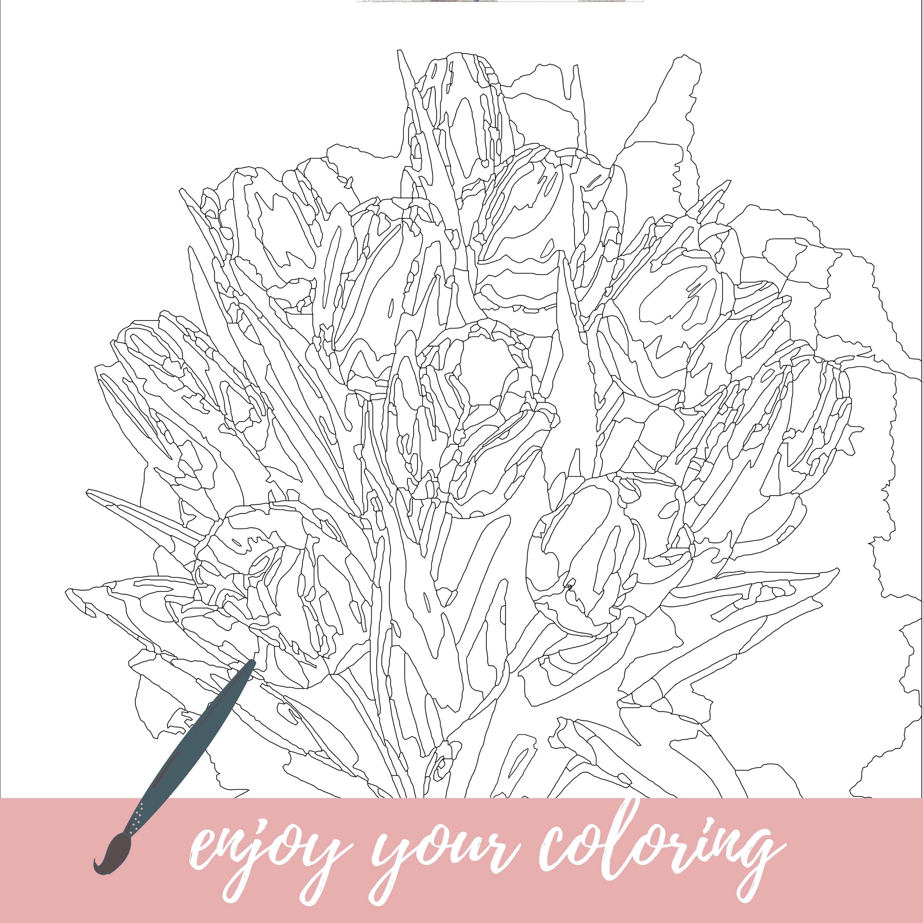 Color by Number Printable,paint by Number for Adult,pink Tulips Flower ...