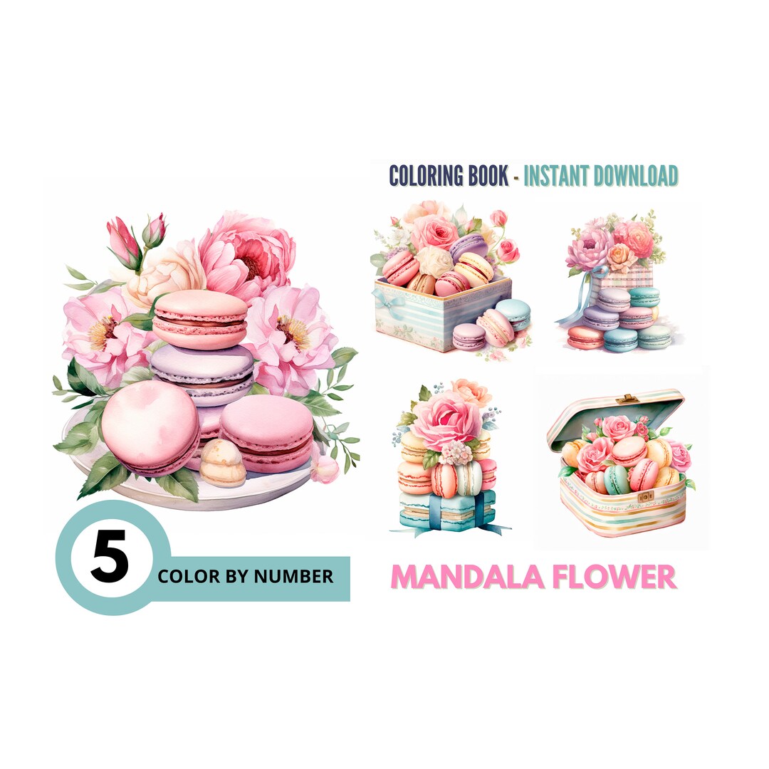 Color by Number for Adult,paint by Number Printable,5 Macarons Flower ...