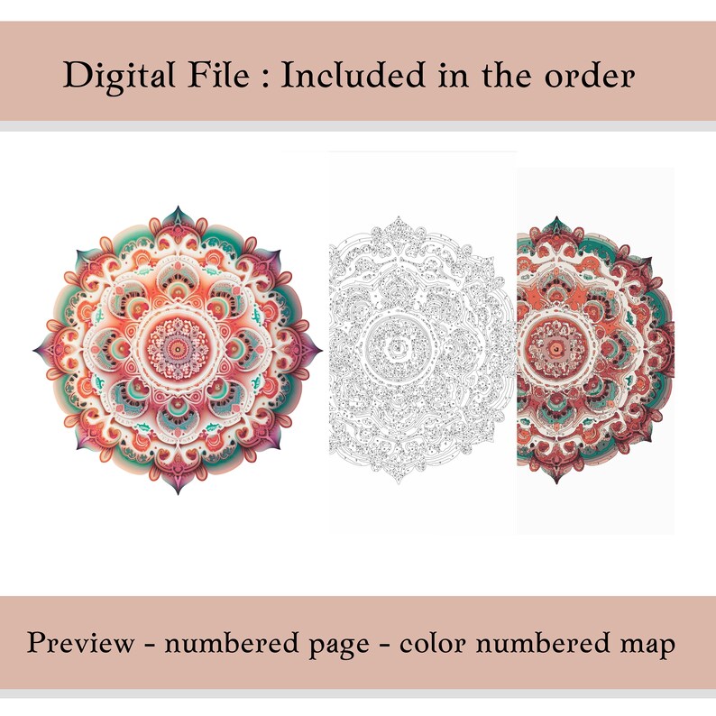 Color by Number for Adult Mandala Paint by Number - Etsy