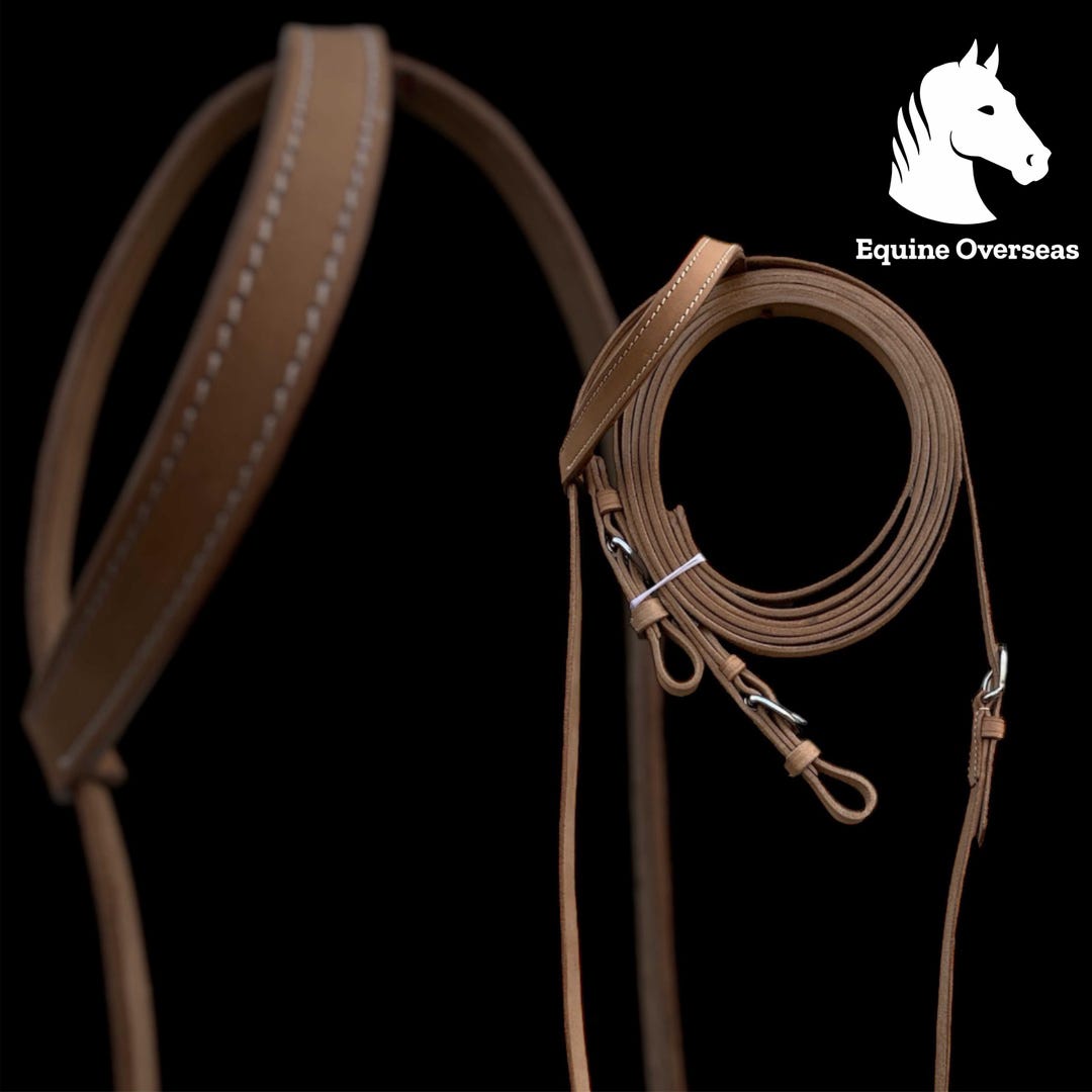 Western One Ear Headstall With Matching Reins: Classic Style and ...
